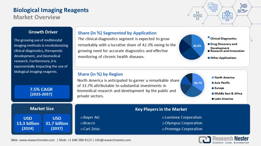 Biological Imaging Reagents Market Size | Growth Forecasts 2037