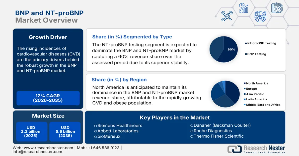 BNP 與 NT-proBNP 市場規模及份額 | 2035 年成長趨勢